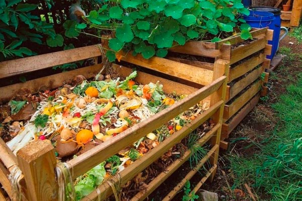 Guide to Home Composting