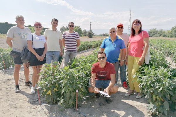 IAC "Maritsa" - 95 Jahre Unterstützung für Paprikaerzeuger und -verarbeiter