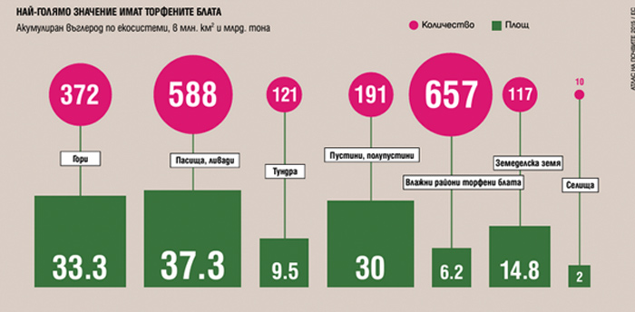 Why is it important to protect soils?