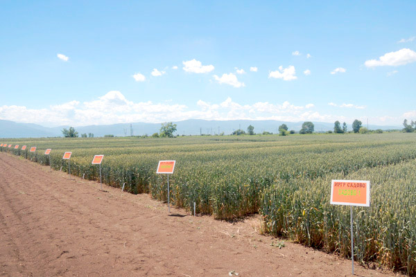 Day of the Farmer in Sadovo – Alternative Crops Suitable for Organic ...