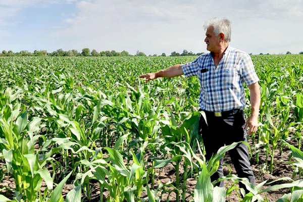 TECHNOLOGY AHEAD OF ITS TIME: CORN
