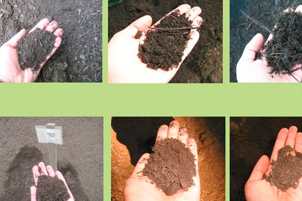 Composting – technology and quality of compost