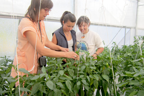 IAC « Maritsa » - 95 ans de soutien aux producteurs et transformateurs ...