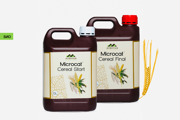 Line of Microcat products – for overcoming micronutrient deficiency in ...