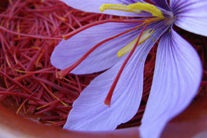 Does saffron have soil in our country?